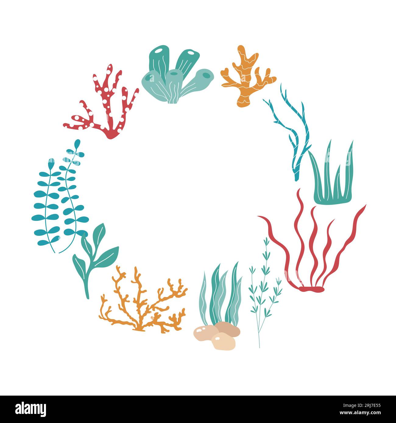 Seaweed sustainability Cut Out Stock Images & Pictures - Alamy