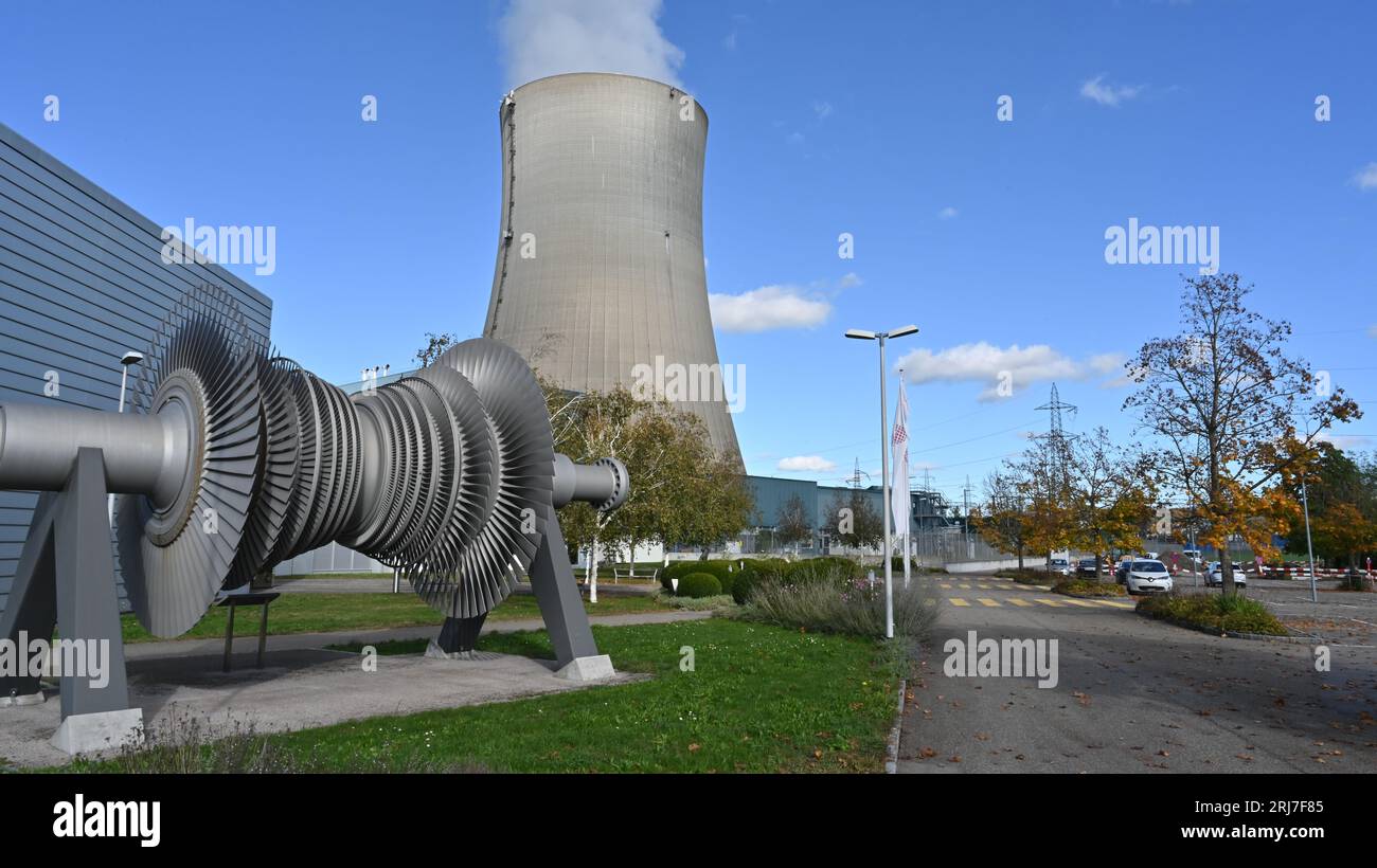 Low-pressure turbine rotor with shrouded and standing blades used in ...
