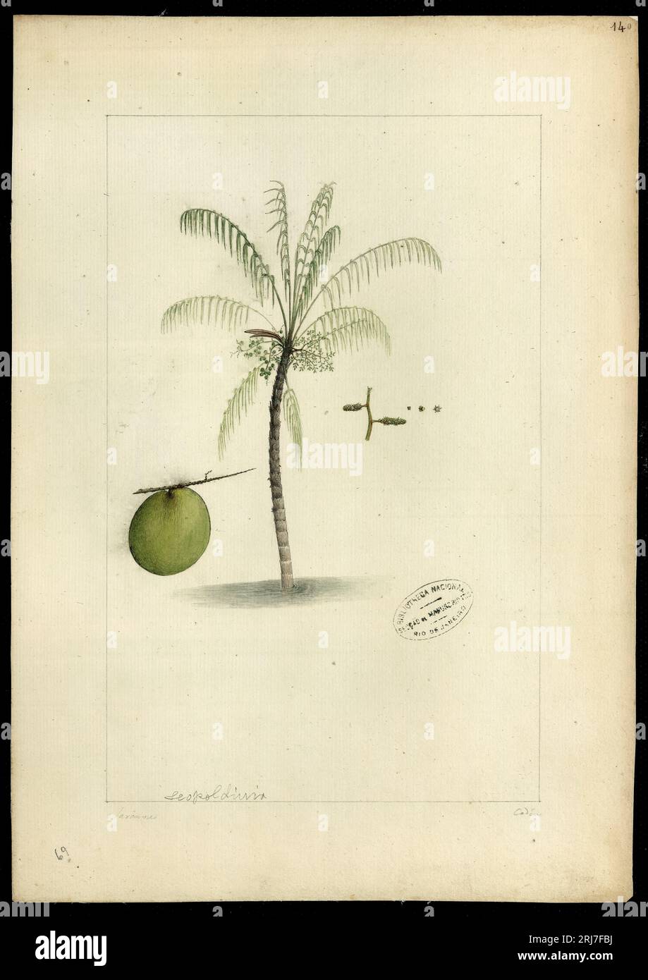 (Palma) 18th century by Joaquim José Codina Stock Photo - Alamy