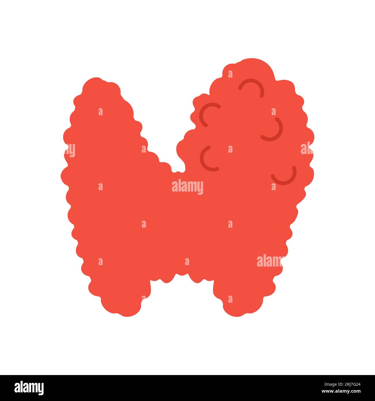 Enlarged thyroid gland goiter body medical icon Stock Vector Image ...