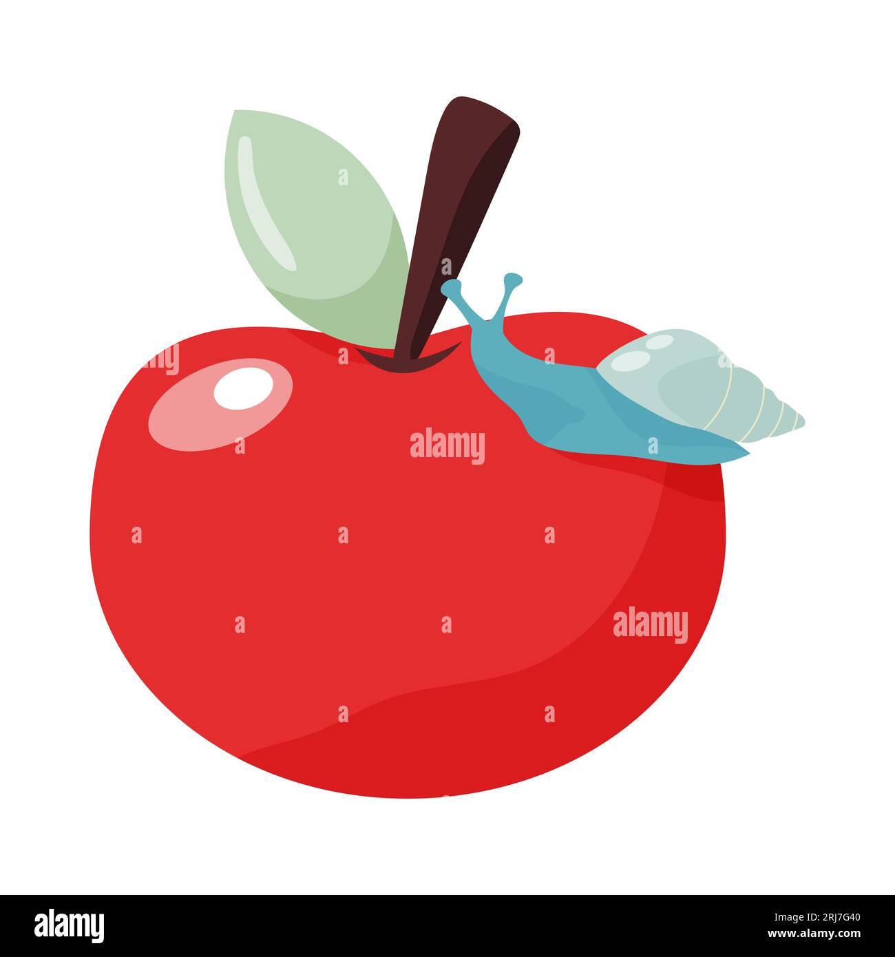 Snail on an apple colourful handdrawn illustration Stock Vector Image ...