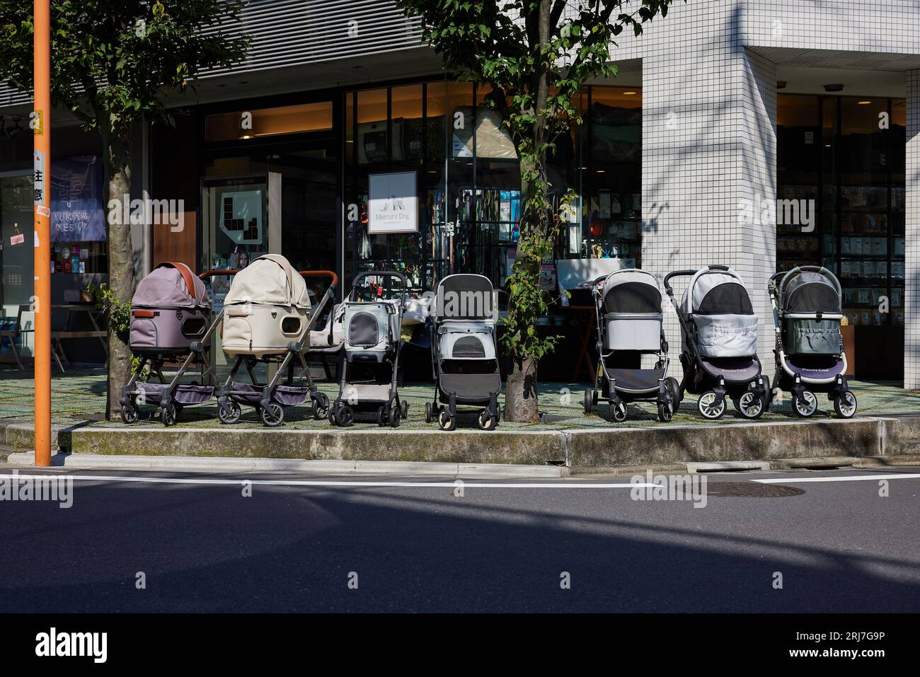 Dog strollers lined up outside pet shop; Tokyo, Japan Stock Photo - Alamy