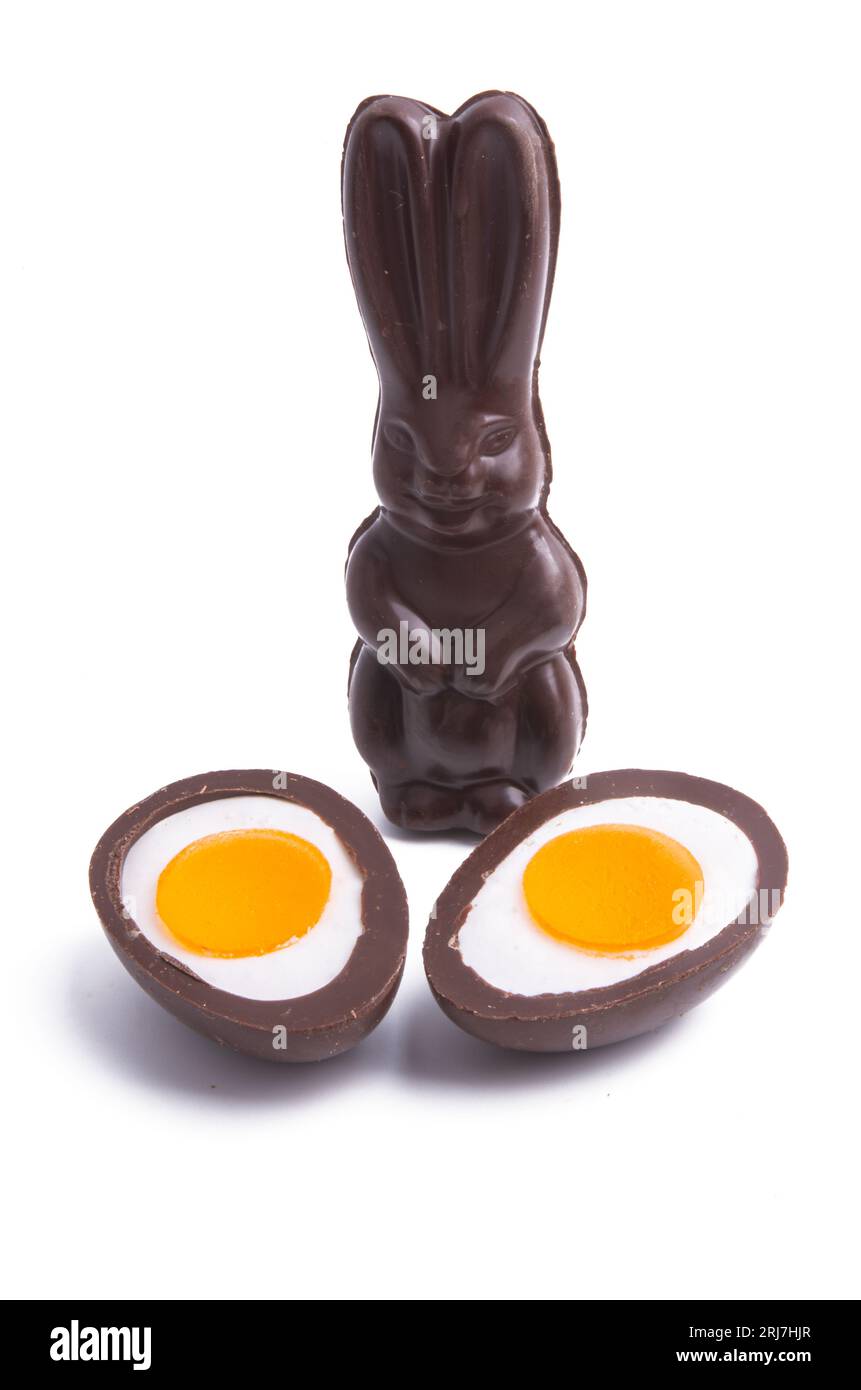chocolate bunny isolated on white background Stock Photo - Alamy