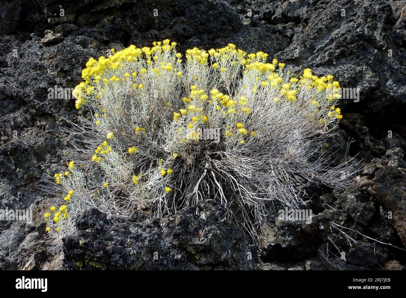 Extinct volcano hi-res stock photography and images - Alamy