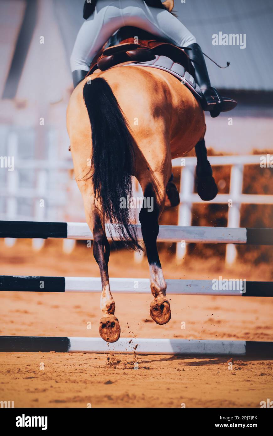 Riding pony woman jumping hi-res stock photography and images - Alamy