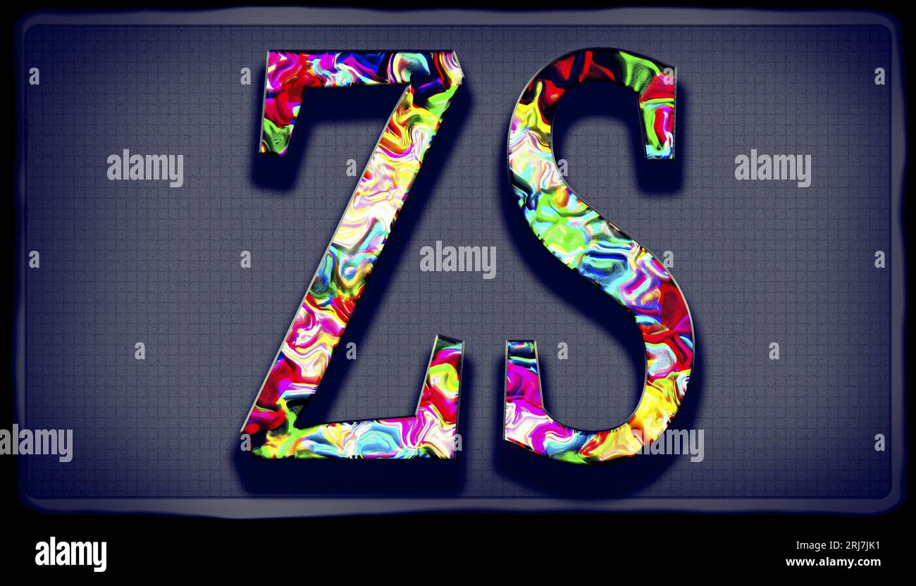 Double letter signature ZS in an unique design named Painter rough ...