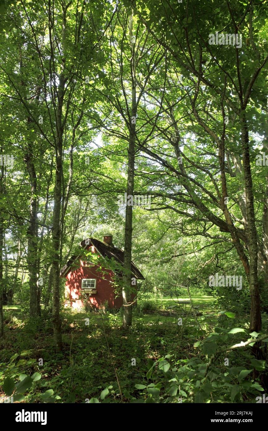 Hut at the Gamle Fuglekøje / Old Birdhouse duck decoy trapping site ...