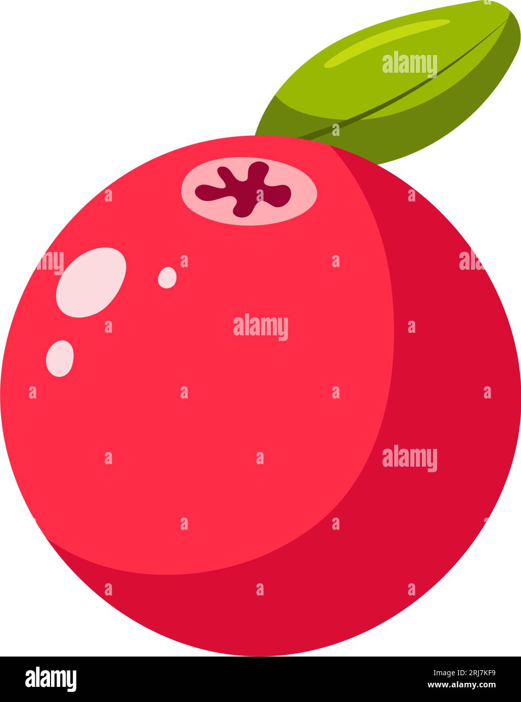 Funny cartoon cranberry. Cute berry. Vector food illustration isolated ...