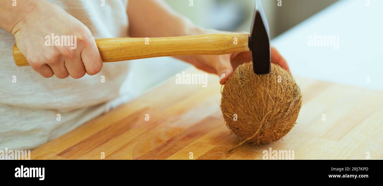 Closeup on woman opening coconut using hammer Stock Photo - Alamy