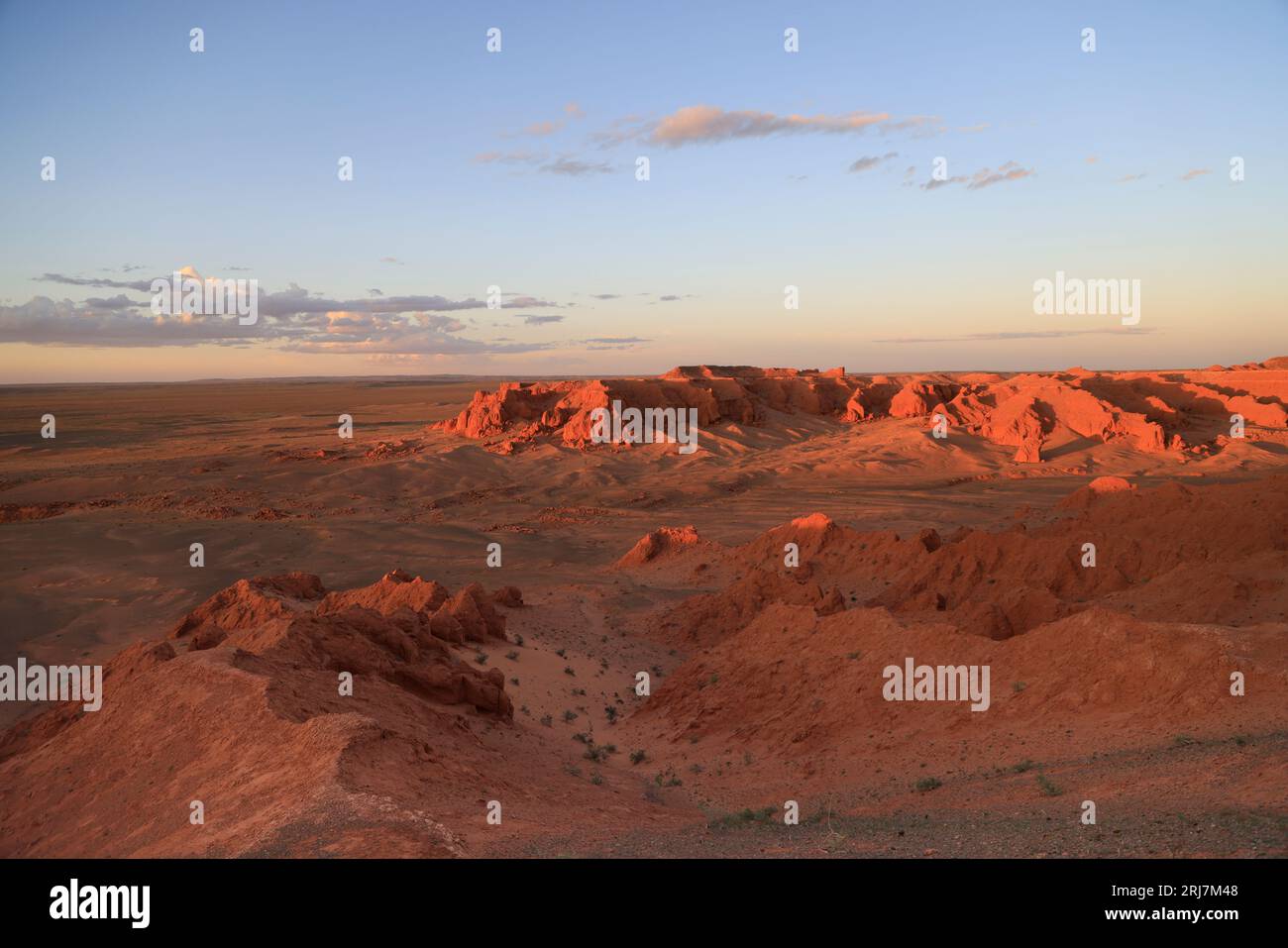 The rock formations of Bayanzag flaming cliff at sunset, Mongolia Stock ...