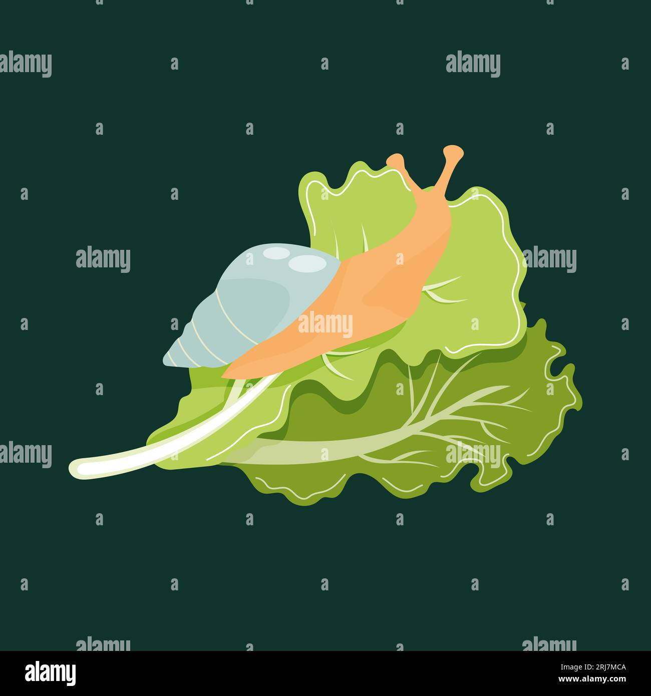 Hand drawn snail sitting on lettuce leaves Stock Vector Image & Art - Alamy