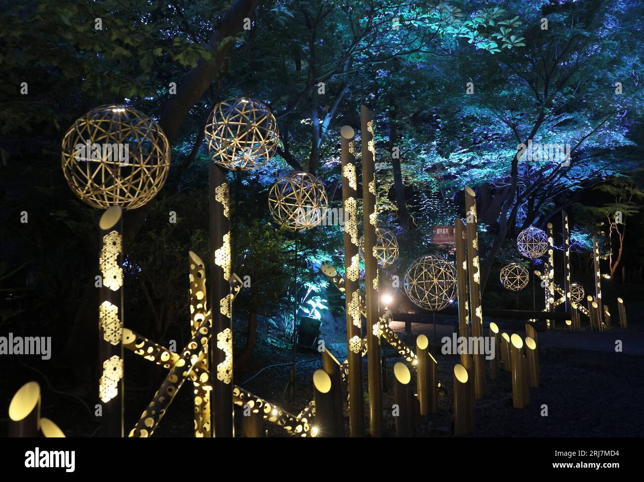 Tokyo, Japan. 21st Aug, 2023. Bamboo balls and lanterns are illuminated ...