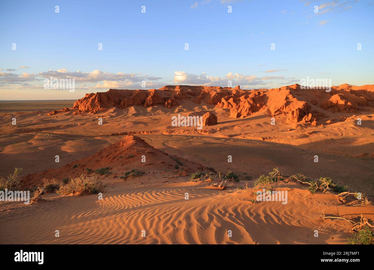 The rock formations of Bayanzag flaming cliff at sunset, Mongolia Stock ...