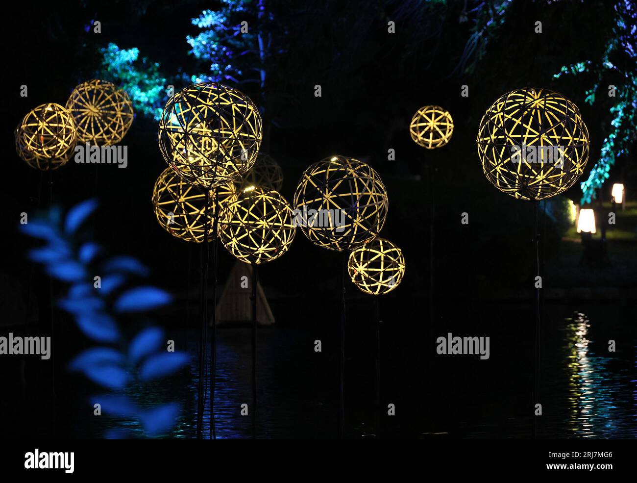 Tokyo, Japan. 21st Aug, 2023. Bamboo balls are illuminated by LEDs at a ...
