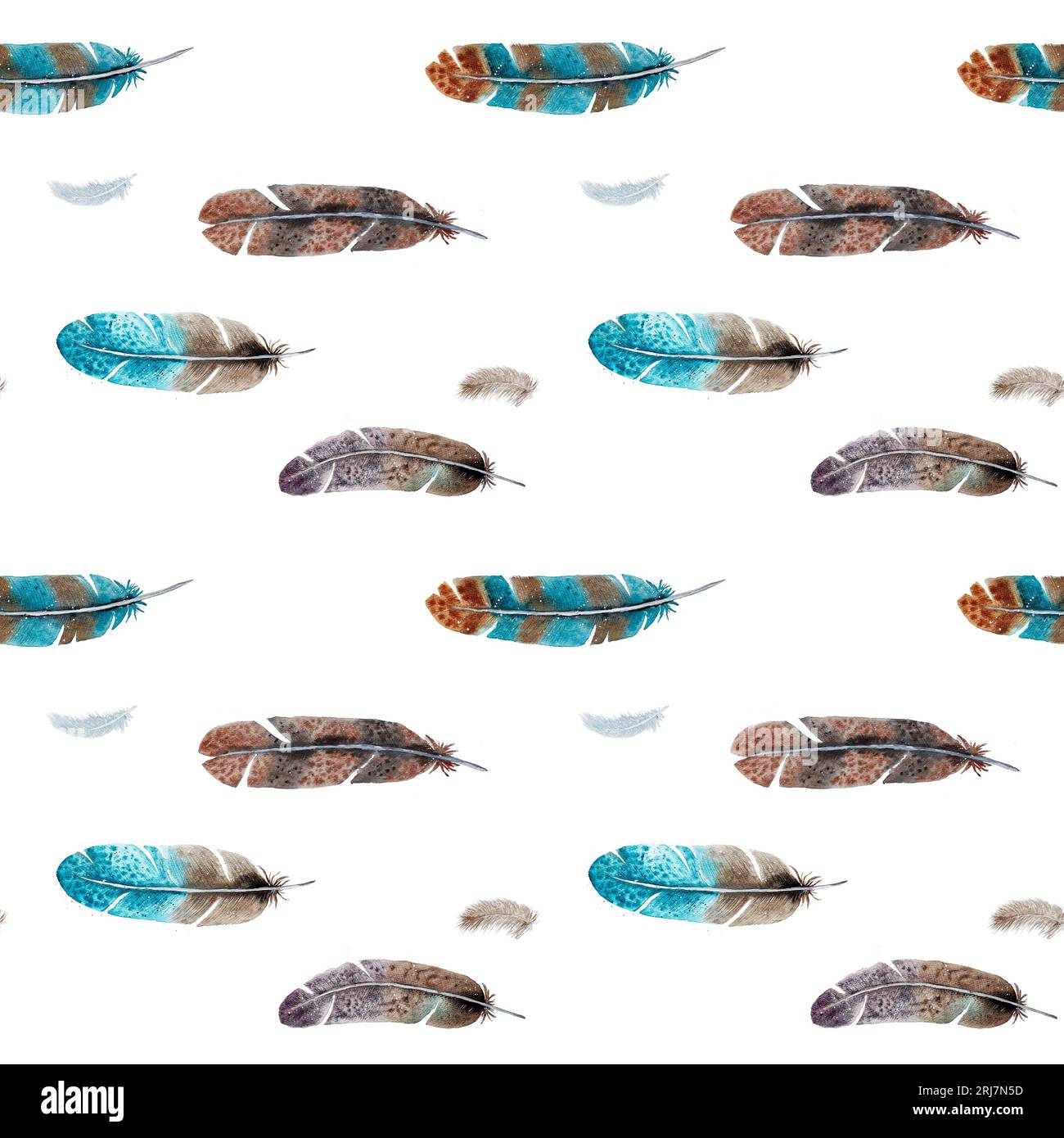 Feathers watercolor hi-res stock photography and images - Alamy