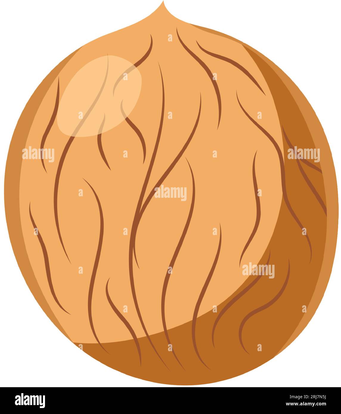 Funny cartoon walnut. Cute nut. Vector food illustration isolated on ...