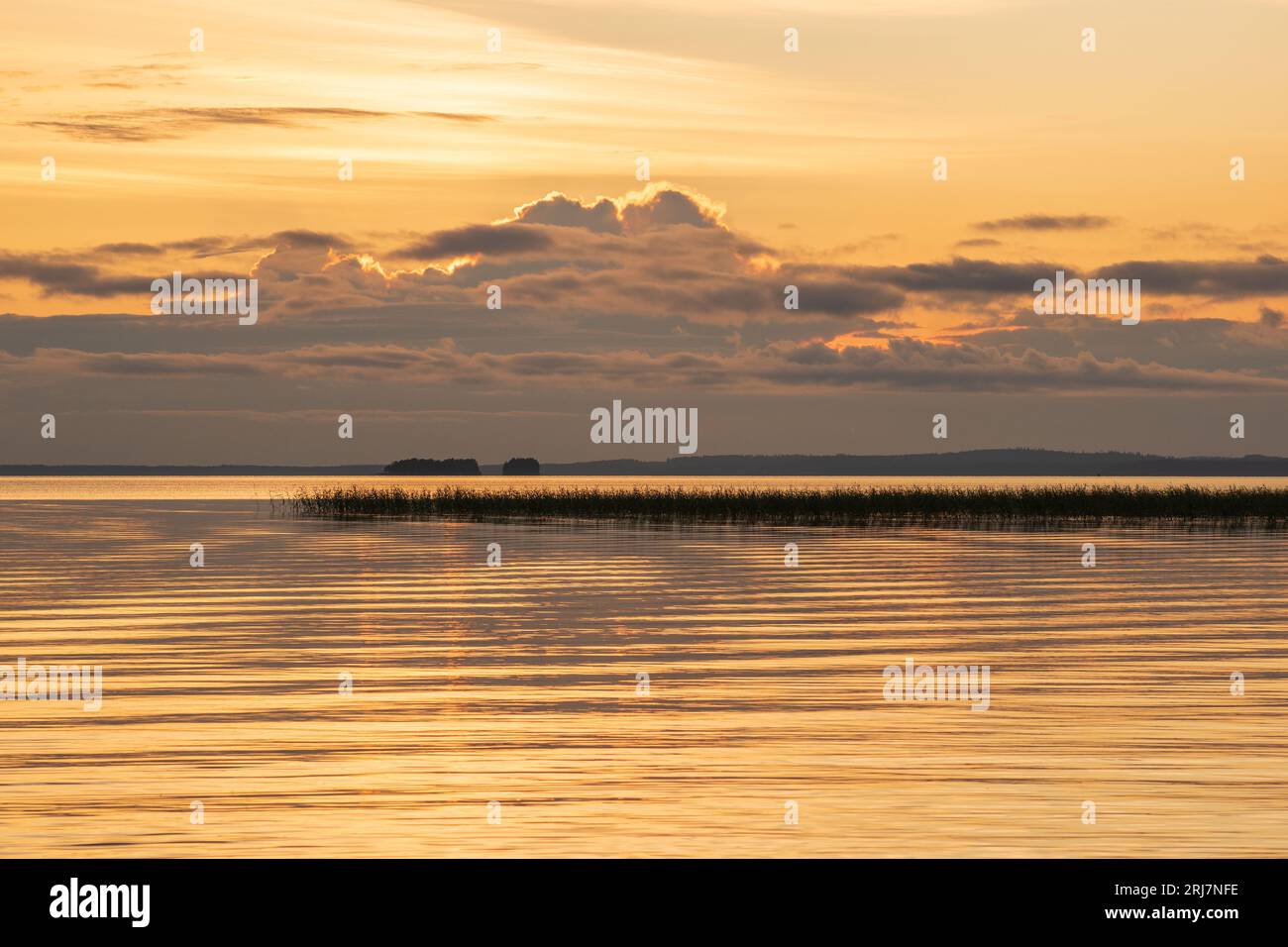 natural landscape with a beautiful sunset over the wide northern lake ...