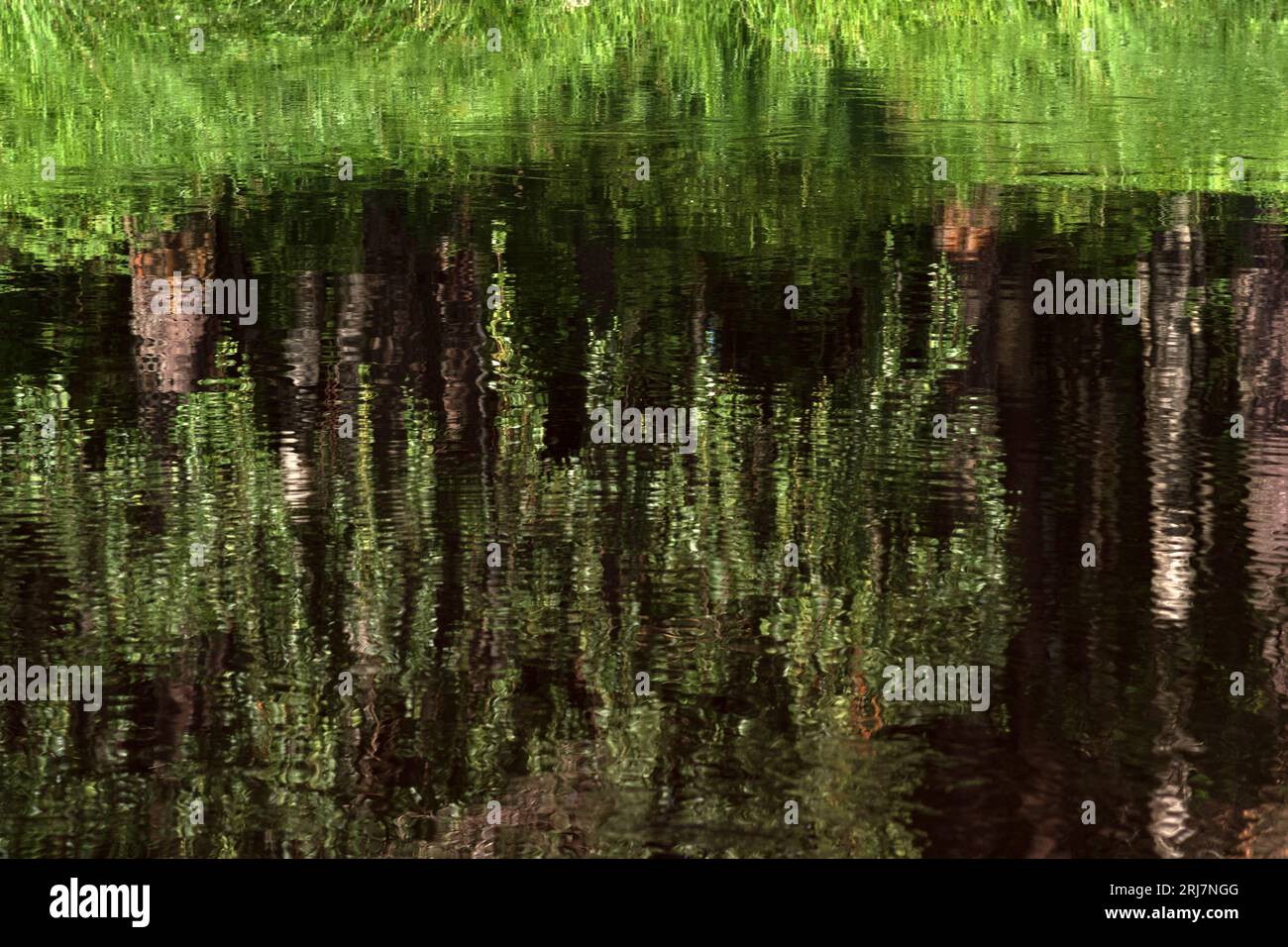 natural background, water landscape, shiny water surface with ...