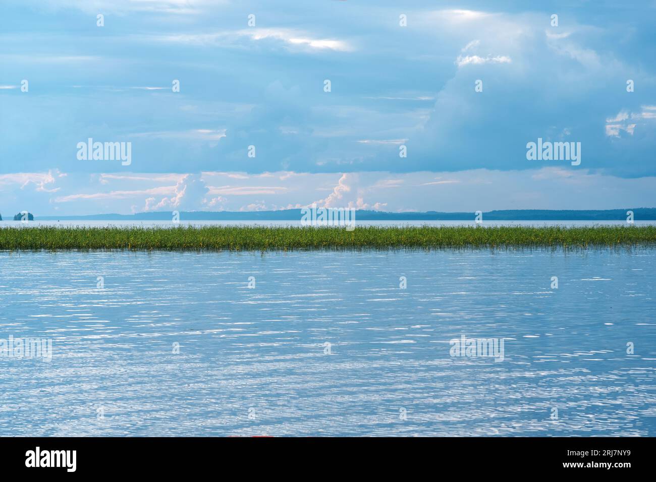 Reed banks hi-res stock photography and images - Alamy
