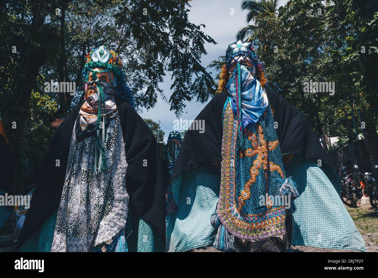 Multicolored parade of individuals from indigenous communities, at a ...