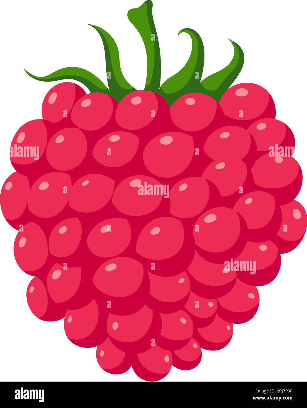Funny cartoon raspberry. Cute berry. Vector food illustration isolated ...