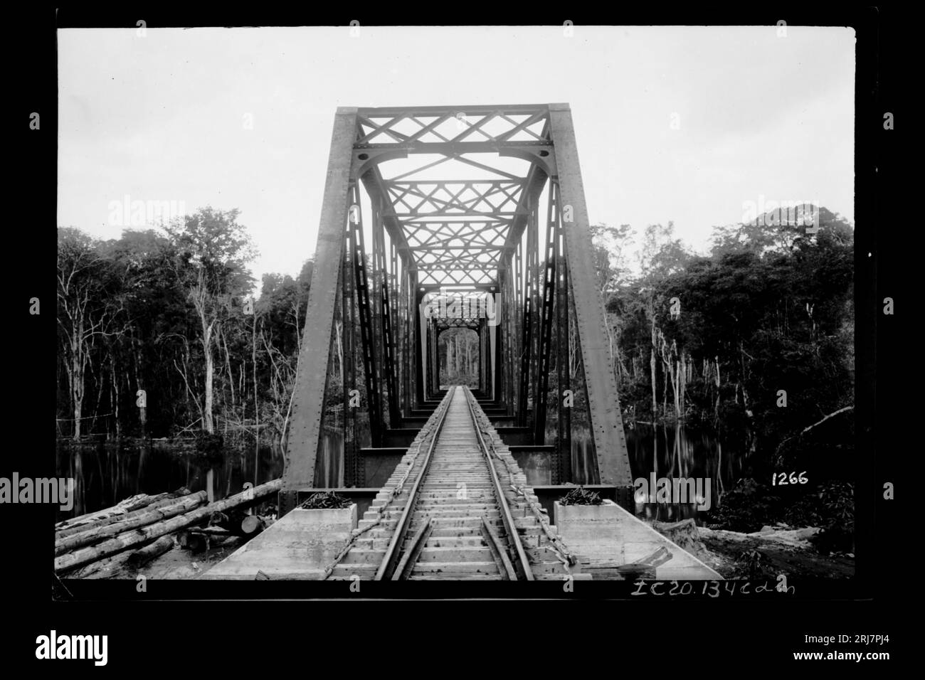 Ponte sobre o Rio Jaci-Paraná - 1266 1910 by Dana B. Merrill Stock ...