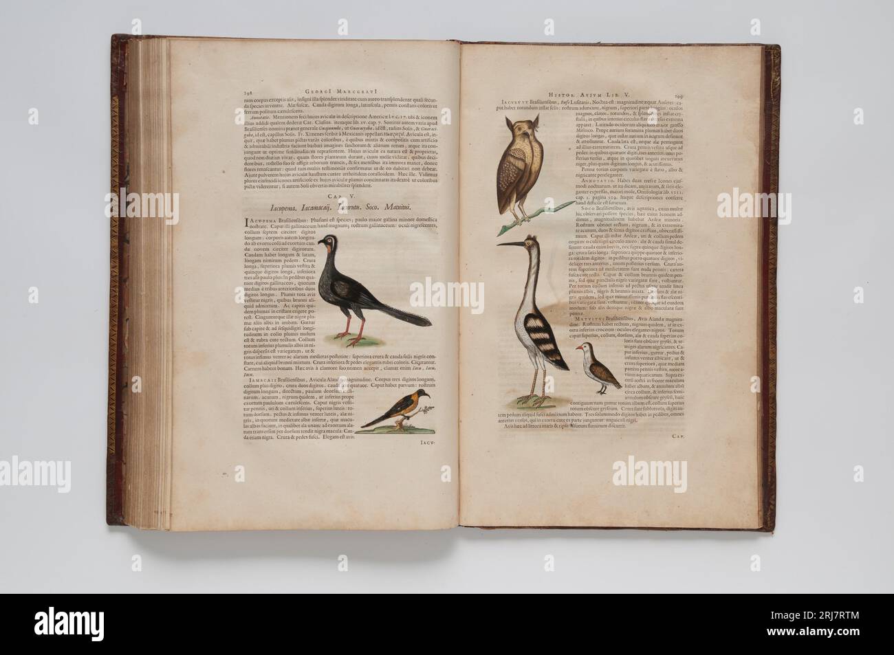 Ilustracoes hi-res stock photography and images - Alamy