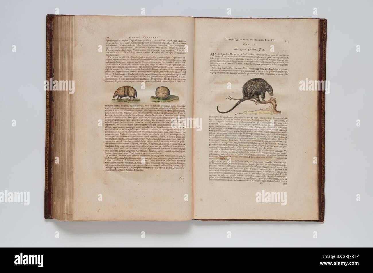 Ilustracoes hi-res stock photography and images - Alamy