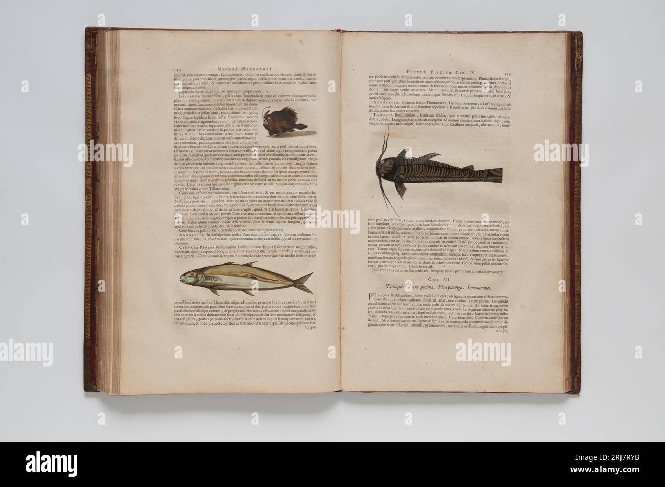 Ilustracoes hi-res stock photography and images - Alamy