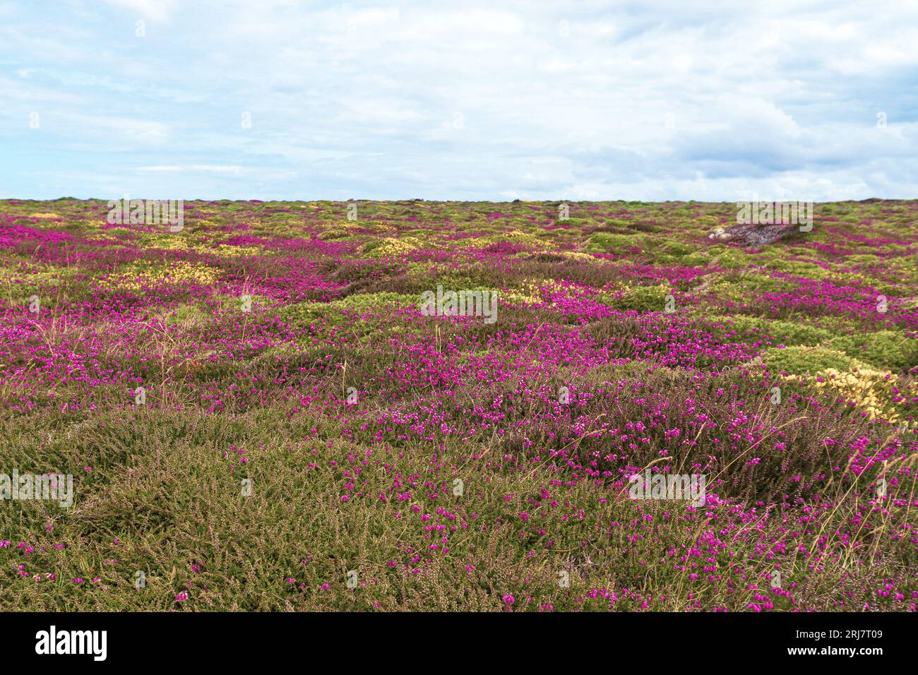 Pointe du Van on Cap Sizun in the extreme west of Brittany Stock Photo ...