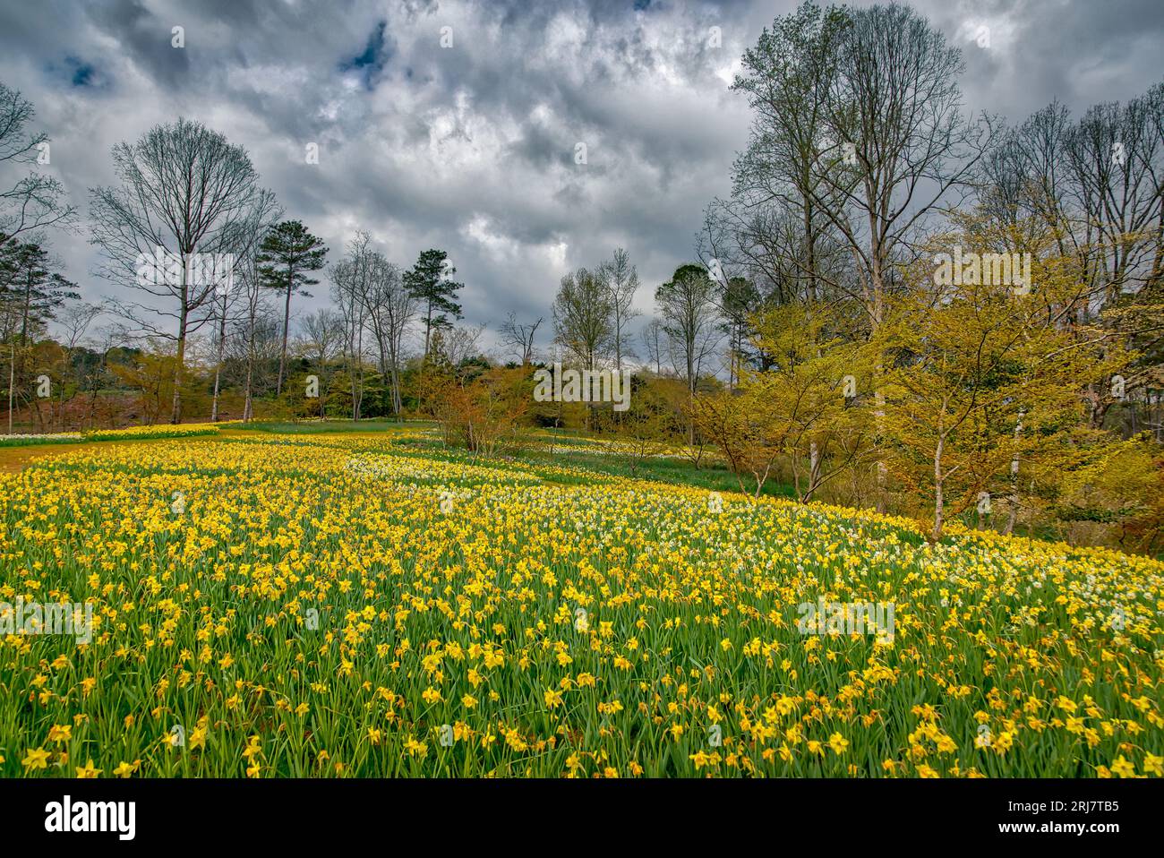 Gibbs Gardens Scene Stock Photo - Alamy