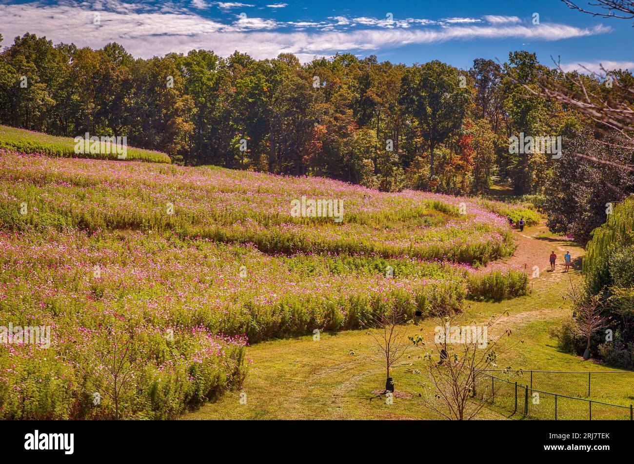 Gibbs Gardens Scene Stock Photo - Alamy