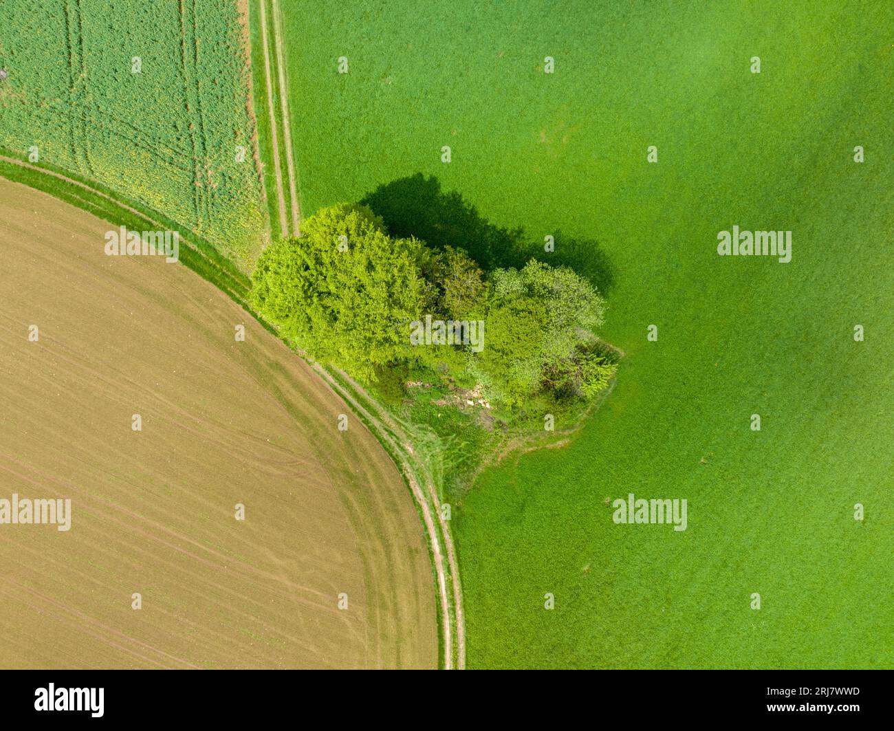 Drone top shot road in hi-res stock photography and images - Alamy