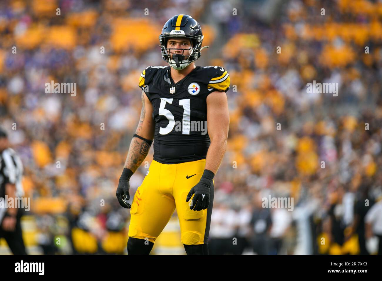 Nick herbig hi-res stock photography and images - Alamy