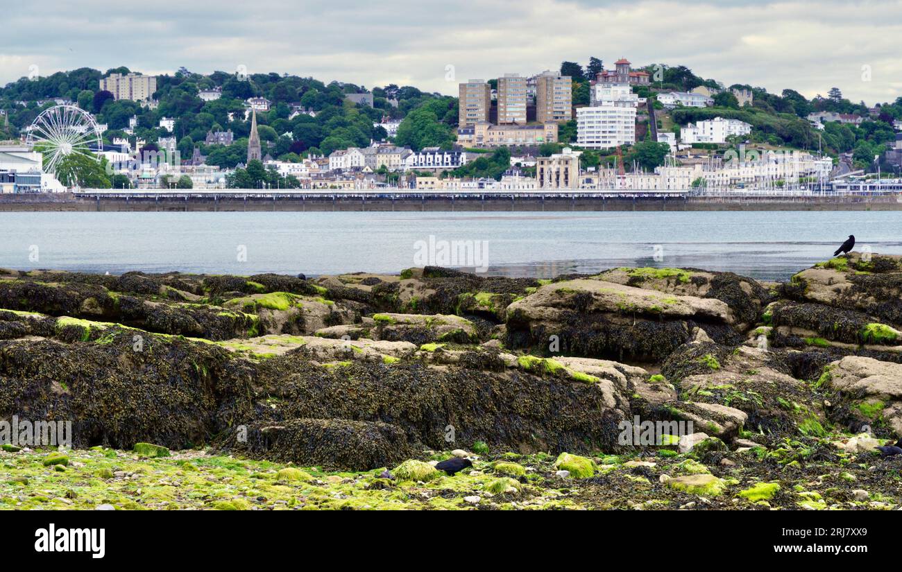 View across the seaweed strewn rocks and pebbles and over the water in ...