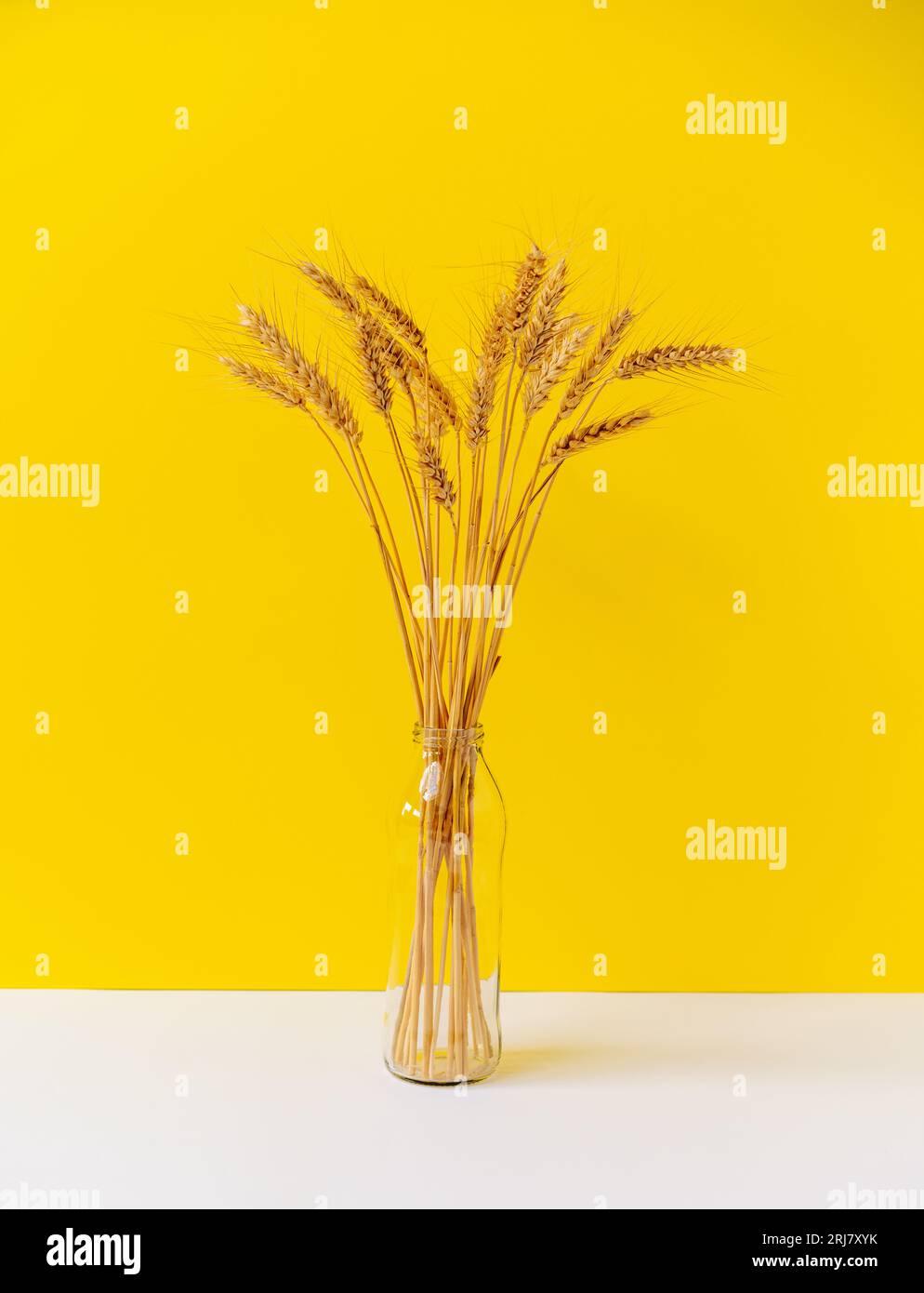 Bouquet of golden coloured wheat in vase made from glass bottle in ...