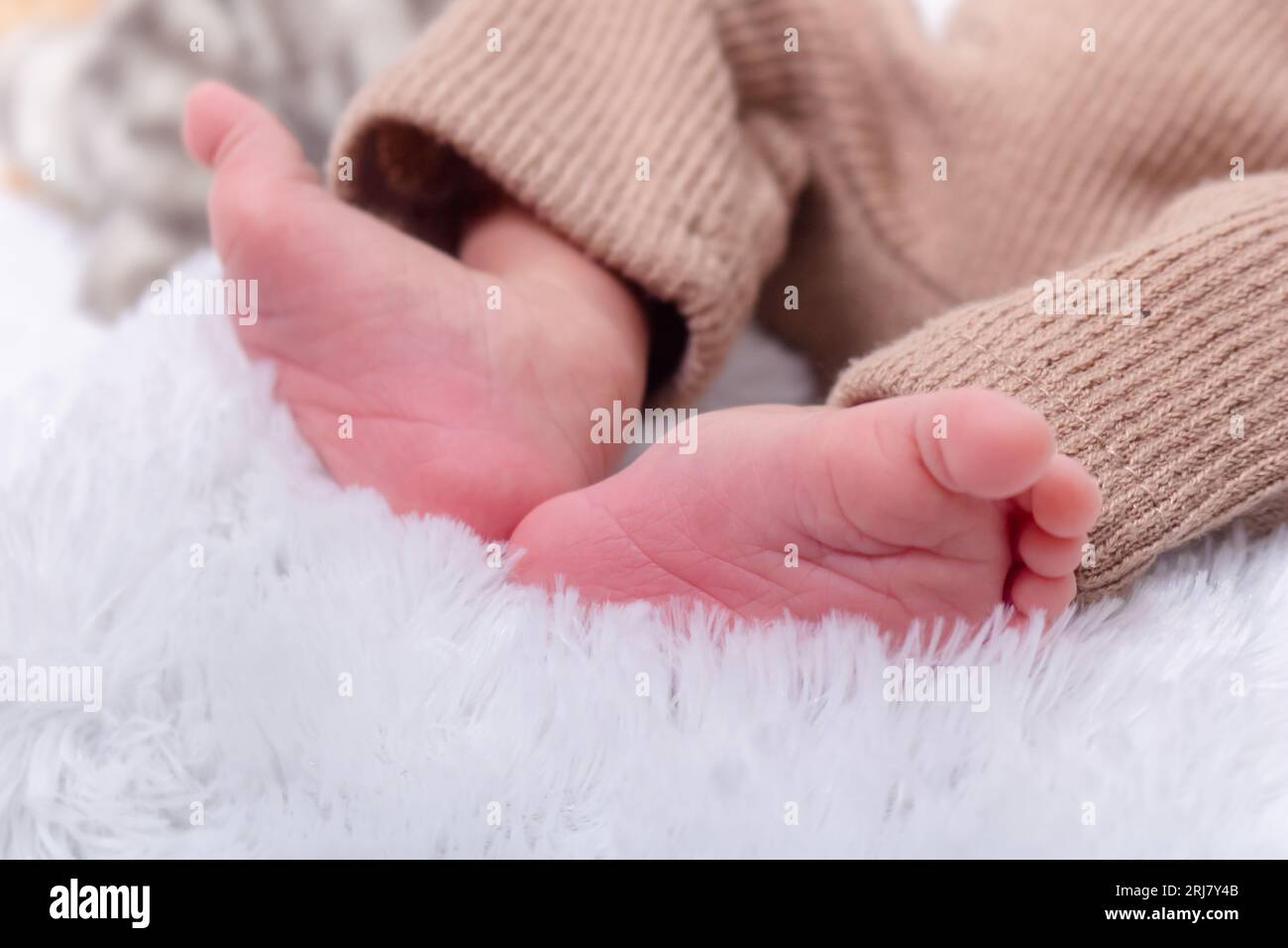 Foot of newborn baby. Close up of Hispanic newborn baby girl's feet ...