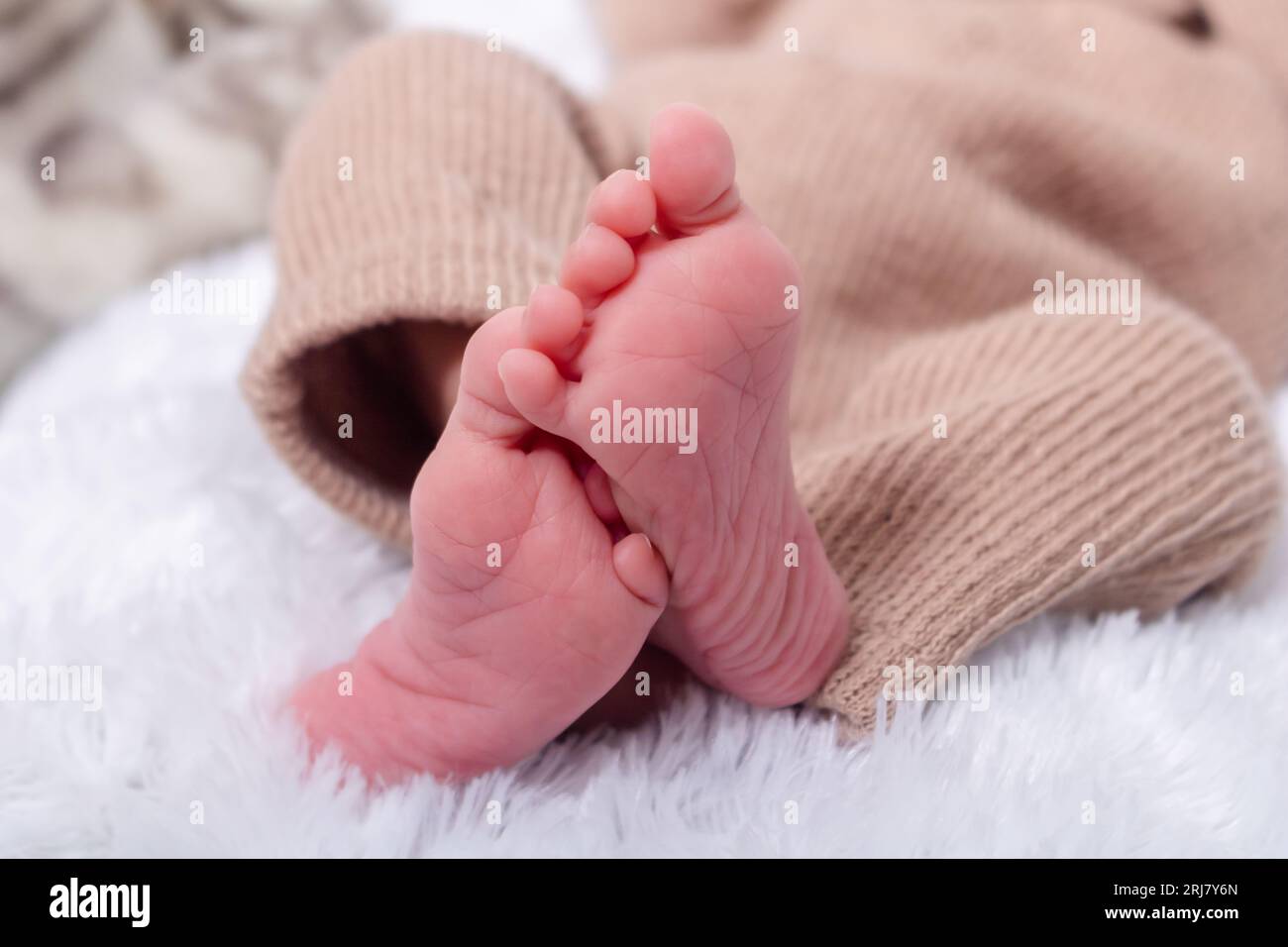Foot of newborn baby. Close up of Hispanic newborn baby girl's feet ...