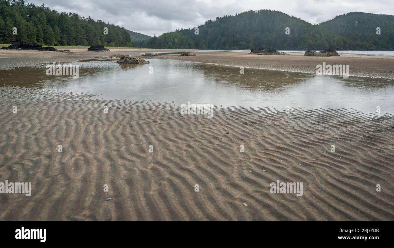 Rain at San Josef Bay beach in Cape Scott Provincial Park, BC., Canada ...