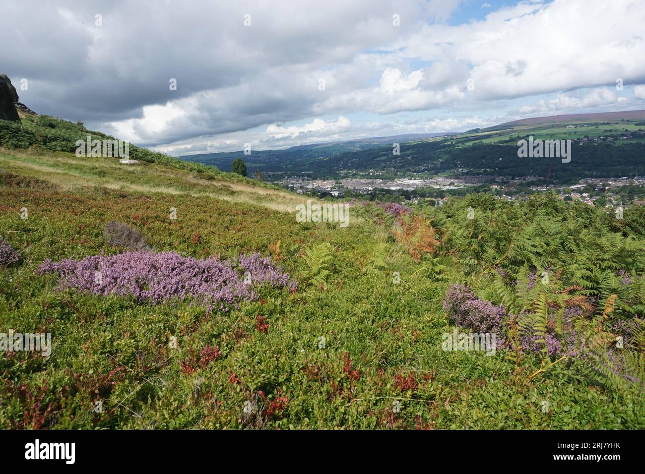 Moor pathway hi-res stock photography and images - Alamy