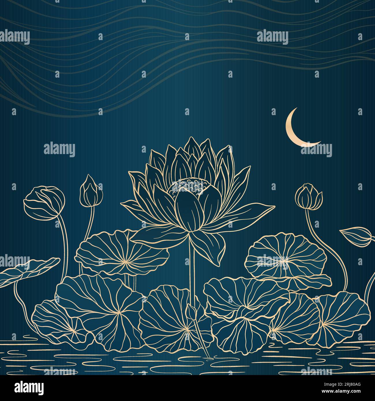 Elegant prestigious night background with lotus flowers against the ...