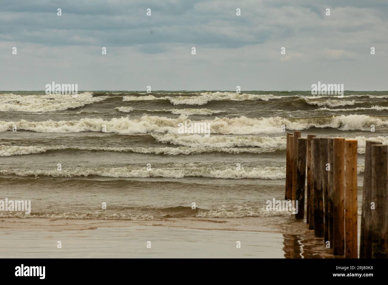 Wind whipped hi-res stock photography and images - Alamy