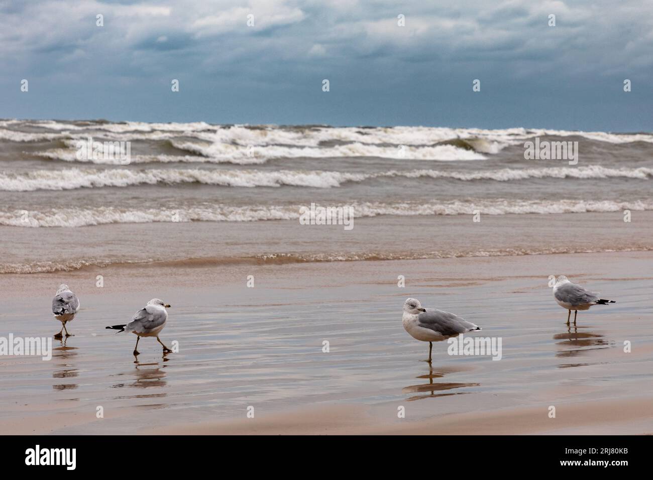 Wind-whipped waves give Lake Huron an oceanic vibe Stock Photo - Alamy