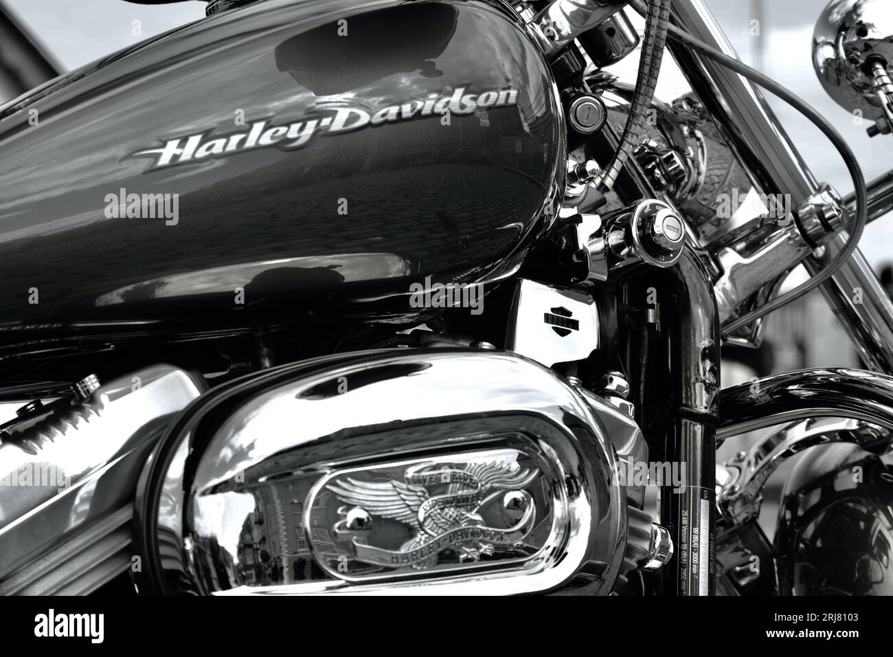 Hells angel beard hi-res stock photography and images - Alamy
