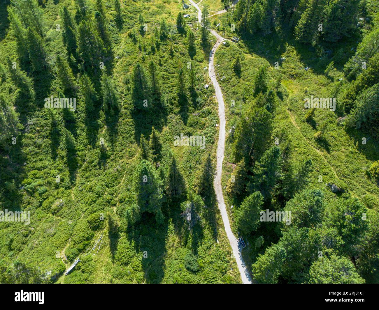 Aerial view of hiking and trekking trail running through green ...
