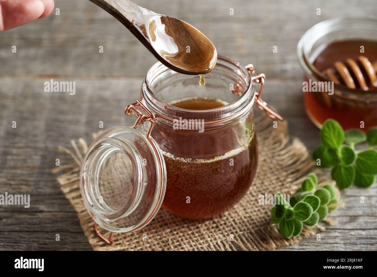Homemade Plectranthus amboinicus syrup for common cold on a spoon above ...