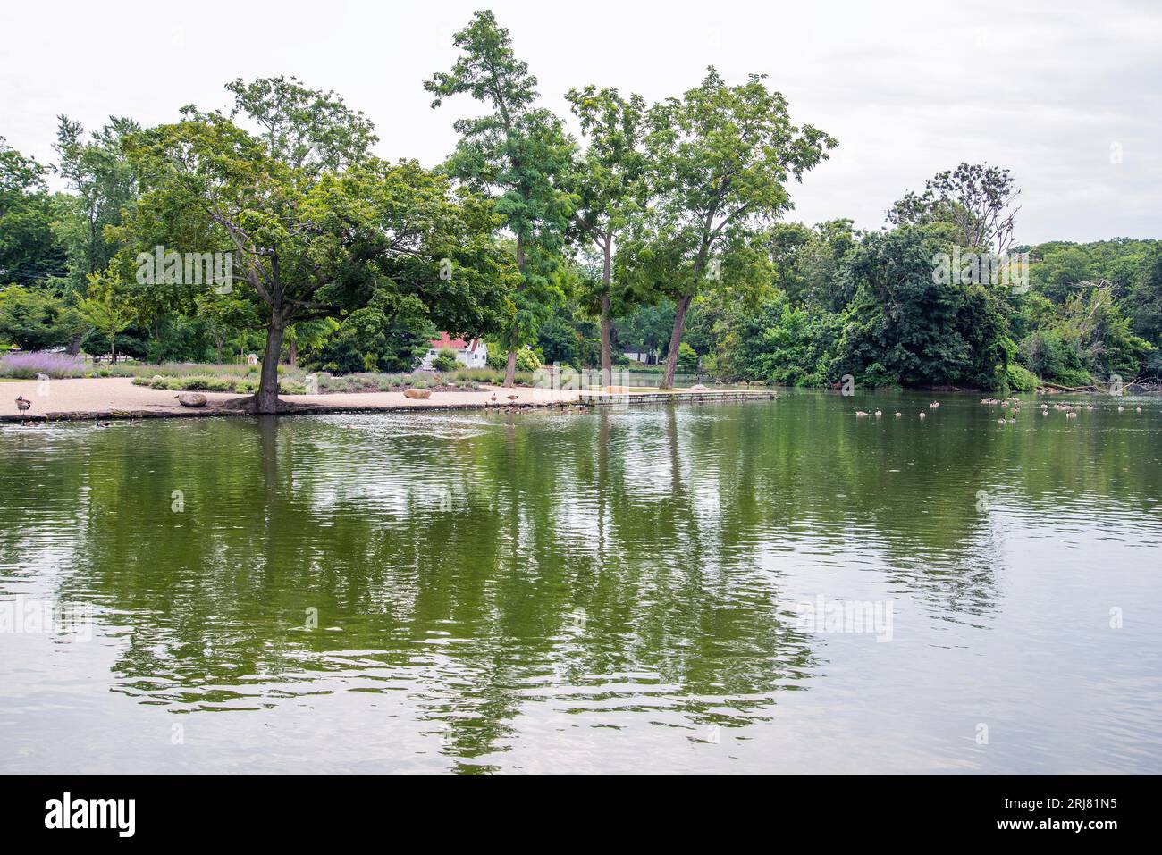 Summer landscape river different hi-res stock photography and images ...