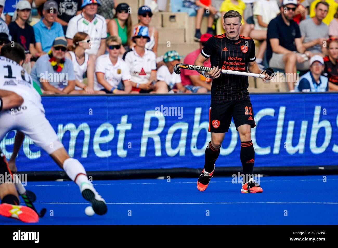 Koen bijen hi-res stock photography and images - Alamy