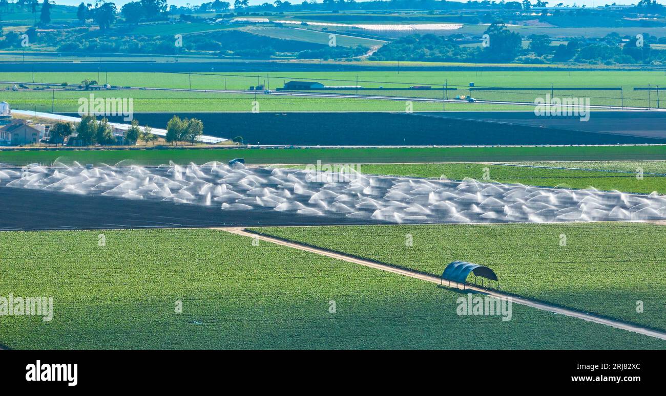 Crops being watered hi-res stock photography and images - Alamy