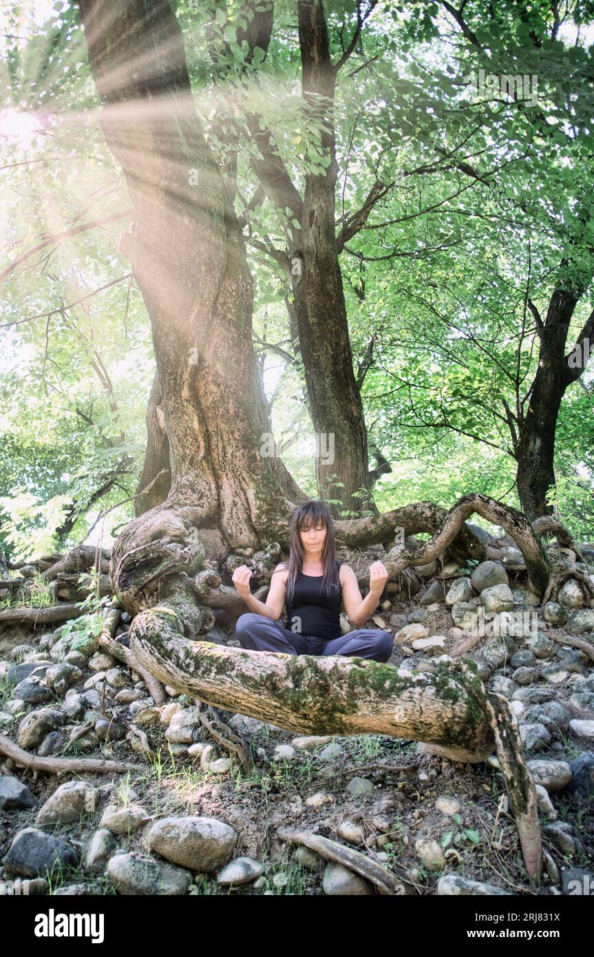 Lady seated in the lotus position at the foot of a large tree, struck ...